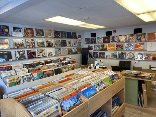 WINDY CITY RECORDS - TEMP. CLOSED - Updated January 2026 - 10 Reviews ...
