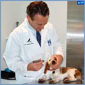 TWO RIVERS ANIMAL HOSPITAL - Updated January 2026 - 21 Photos & 27 ...