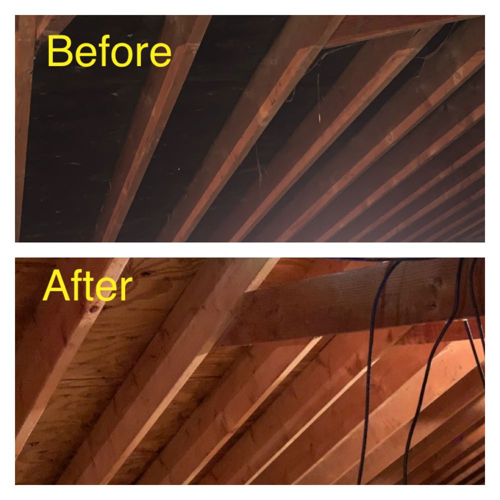 BELLA MOLD REMOVAL INC. - Request a Quote - 12622 Davis Rd, Woodstock ...