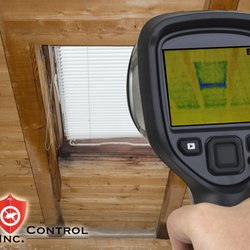 RODENT CONTROL - 70 Photos & 224 Reviews - 5455 Wilshire Blvd, Los ...