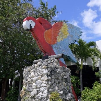 JUNGLE ISLAND - Updated January 2025 - 1246 Photos & 526 Reviews - 1111 ...