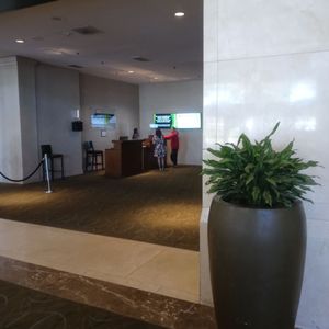 NU CAR RENTAL - 69 Photos & 1166 Reviews - Car Rental - 5400 W Century ...