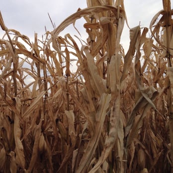 TEMPLE HALL FARM PARK - Updated October 2024 - 38 Photos & 22 Reviews ...