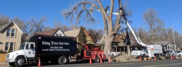 KING TREE SERVICE - Updated November 2024 - 33 Photos & 24 Reviews ...