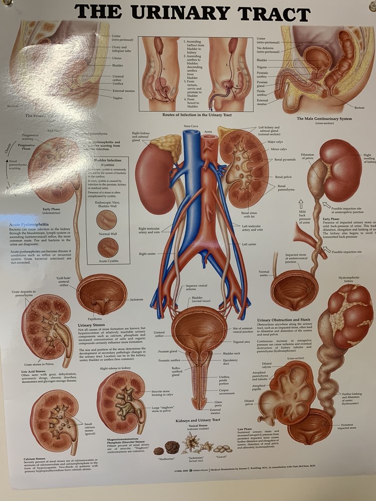 ARI D SILVERSTEIN MD - Updated November 2025 - 701 NW 13th St, Boca ...