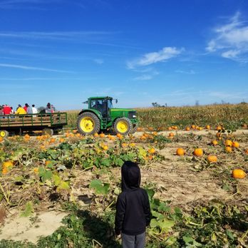 MOLNAR FARMS - Updated October 2025 - 3115 E Western Reserve Rd, Poland ...