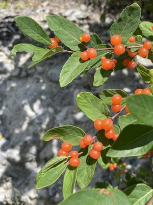 AWAKON SCULPTURE PARK - Updated July 2025 - 46 Photos - 20855 ...