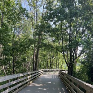 MORGAN FALLS OVERLOOK PARK - Updated June 2024 - 243 Photos & 109 ...