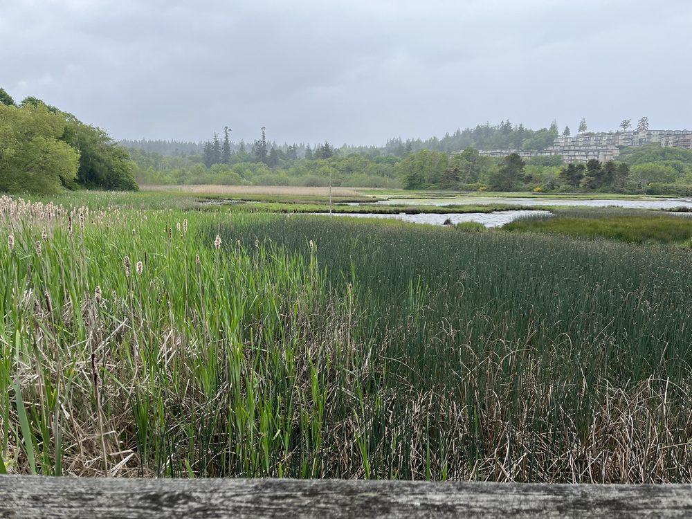 EDMONDS MARSH WILDLIFE SANCTUARY - Updated October 2025 - 20 Photos ...