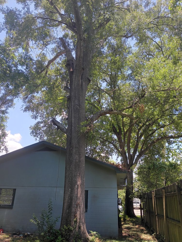 TIMBER IN SYSTEMS - Updated December 2025 - 10 Photos - Baton Rouge ...