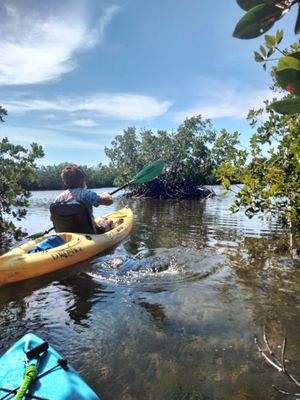 SPONGEBOB KAYAK ECO TOURS - Updated November 2024 - 23 Photos ...