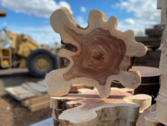 STREET TREE REVIVAL - Updated April 2025 - 18 Photos & 19 Reviews ...