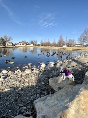 SETTLERS PARK - Updated December 2025 - 52 Photos & 31 Reviews - 3245 N ...