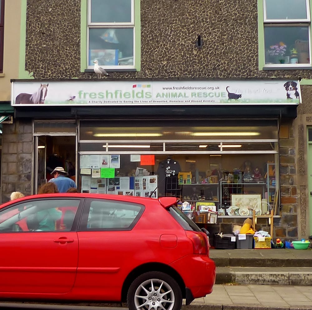FRESHFIELDS ANIMAL RESCUE SHOP - Updated November 2024 - 100 High ...