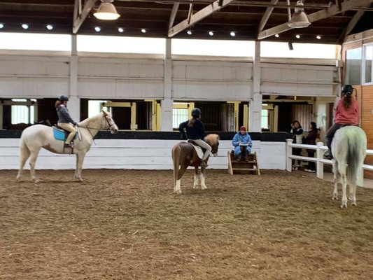 AVON VALLEY SHOW STABLES - Updated December 2024 - 12 Photos - 595 ...