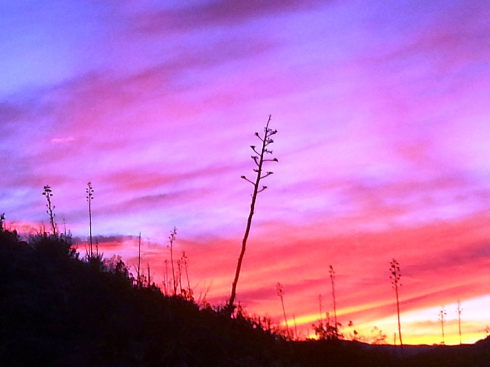 STAGECOACH TRAILS CAMPGROUND & RV PARK - Updated November 2024 - 128 ...