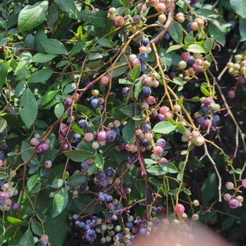 BUSH NECK FARM - Updated December 2025 - 14 Photos - 1502 Bush Neck Rd ...