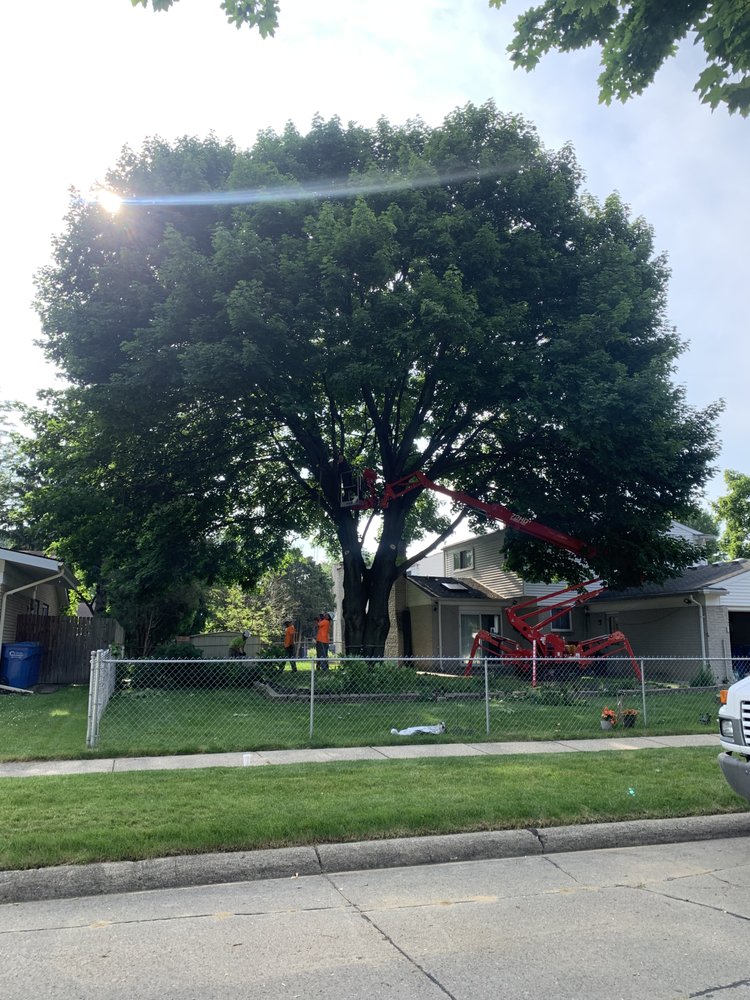 GRUMPY TREE & STUMP REMOVAL - Updated October 2025 - Saint Clair Shores ...