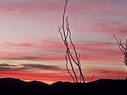 CABALLO LOCO RANCH - Updated October 2024 - 34 Photos - 14475 West ...