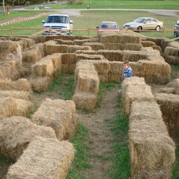 NICKAJACK FARMS - Updated August 2025 - 65 Photos & 24 Reviews - 2955 ...