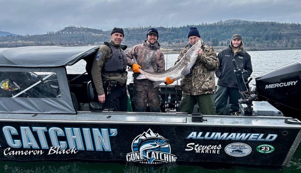 STEVENS MARINE - Updated July 2025 - 73 Photos & 30 Reviews - 9180 SW ...