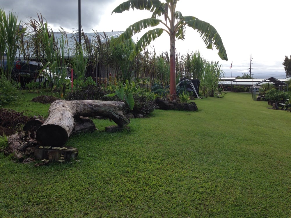 HAWAI’I COMMUNITY COLLEGE - Updated June 2025 - 1175 Manono St, Hilo ...