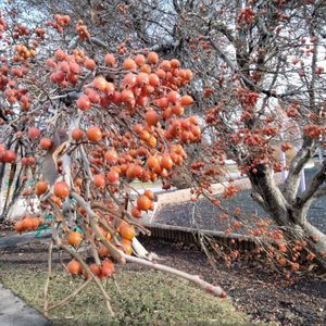 RAINBOW RIDGE PARK - Updated August 2024 - 21 Photos - 1355 Rainbow ...