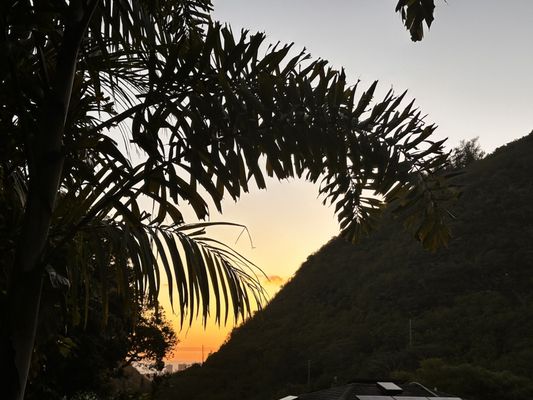 PALOLO VALLEY - Updated December 2025 - 72 Photos & 12 Reviews ...