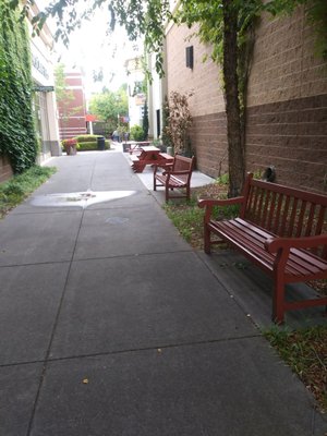 STREETS OF TANASBOURNE - Updated July 2024 - 60 Photos & 43 Reviews ...