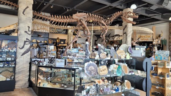 THE DINOSAUR STORE - Updated December 2025 - 201 Photos & 93 Reviews ...
