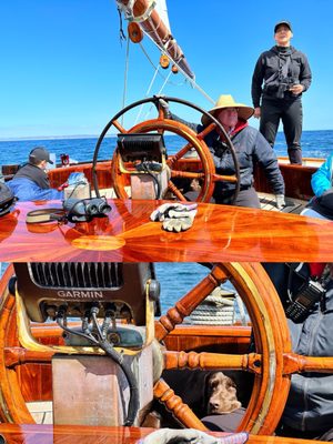 NEXT LEVEL SAILING - Updated December 2025 - 281 Photos & 286 Reviews ...