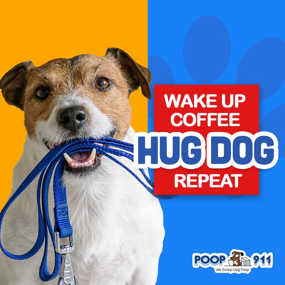 POOP 911 - ATLANTA - Updated September 2025 - 18 Photos - Atlanta ...