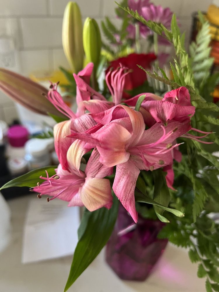 FLORERIA MEXICO #2 - Updated October 2025 - 66 Photos & 41 Reviews ...