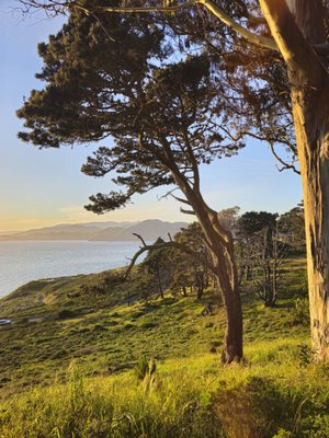 ROB HILL CAMPGROUND - Updated June 2025 - 29 Photos - Washington Blvd ...