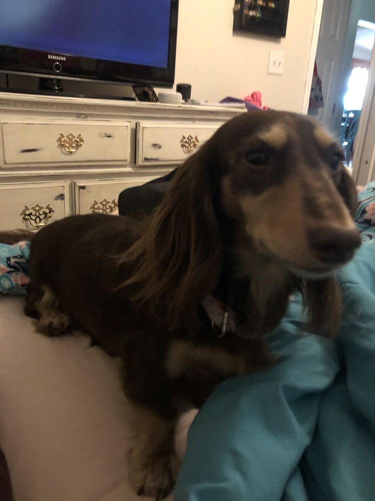 PEA RIDGE ELEMENTARY SCHOOL - Updated December 2025 - 4775 School Ln ...