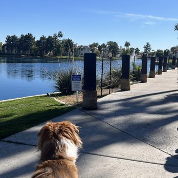 COFFEE RUSH - Updated May 2024 - 177 Photos & 470 Reviews - 1949 W Ray ...