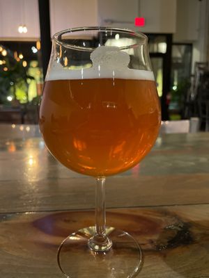 ORACLE BREWING - Updated February 2025 - 20 Photos & 24 Reviews - 122 N ...
