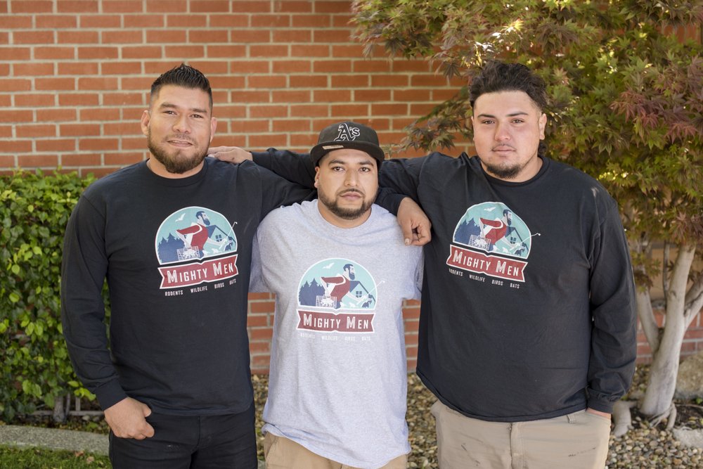 MIGHTY MEN PEST CONTROL - Updated August 2025 - 128 Photos & 97 Reviews ...