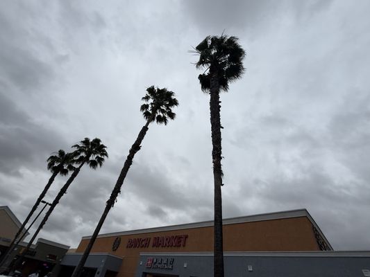 99 RANCH MARKET - Updated September 2025 - 1091 Photos & 248 Reviews ...