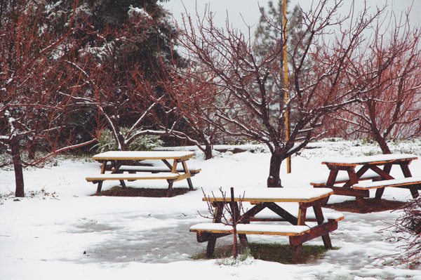 MOMS COUNTRY ORCHARDS - 184 Photos & 150 Reviews - 38695 Oak Glen Rd ...