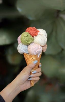 TARA’S ORGANIC ICE CREAM - 387 Photos & 977 Reviews - 3173 College Ave ...