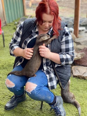 DEBBIE DOLITTLE’S PETTING ZOO - Updated February 2025 - 381 Photos ...