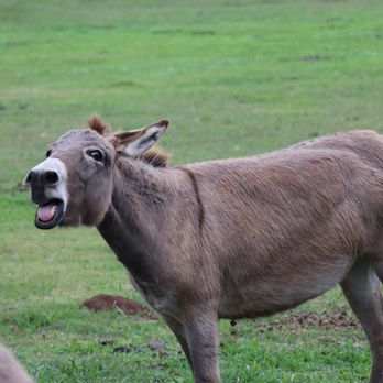 WATER STONE RANCH - Updated September 2025 - 172 Photos & 78 Reviews ...