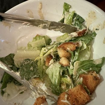 TESTO PEPESTO ITALIAN RESTAURANT - Updated January 2026 - 498 Photos ...