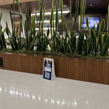 THE CLUB CLT - Updated October 2024 - 267 Photos & 103 Reviews - 5501 ...