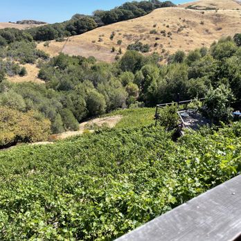 CAPTAIN VINEYARDS - Updated October 2025 - 125 Photos & 87 Reviews ...