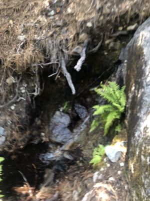 FULLER LAKE - 23 Photos - Lakes - Nevada City, CA - Phone Number - Yelp