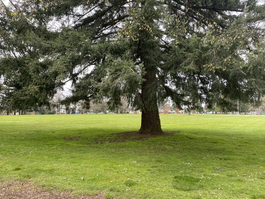 LENTS PARK - Updated October 2025 - 40 Photos & 25 Reviews - SE 92nd ...