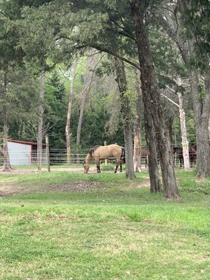 BROKEN BOW RANCH - Updated April 2025 - 45 Photos & 61 Reviews - 1755 E ...