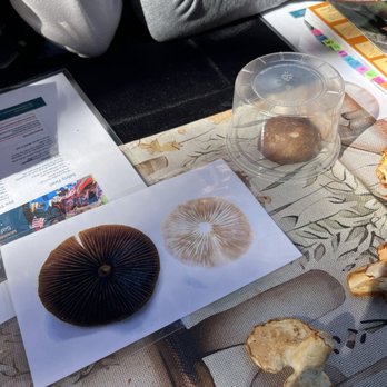 FORAGE SEATTLE - Updated October 2025 - 269 Photos & 85 Reviews ...